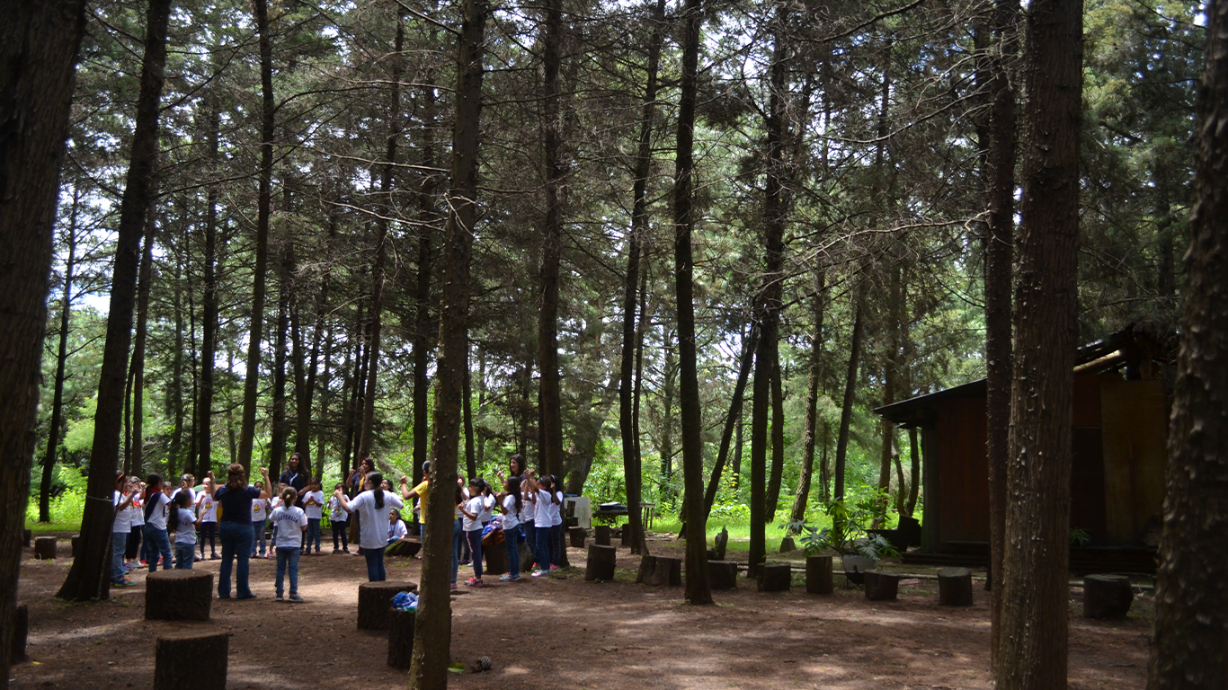 Celebrando la Naturaleza en Monte María - Colegio Monte María